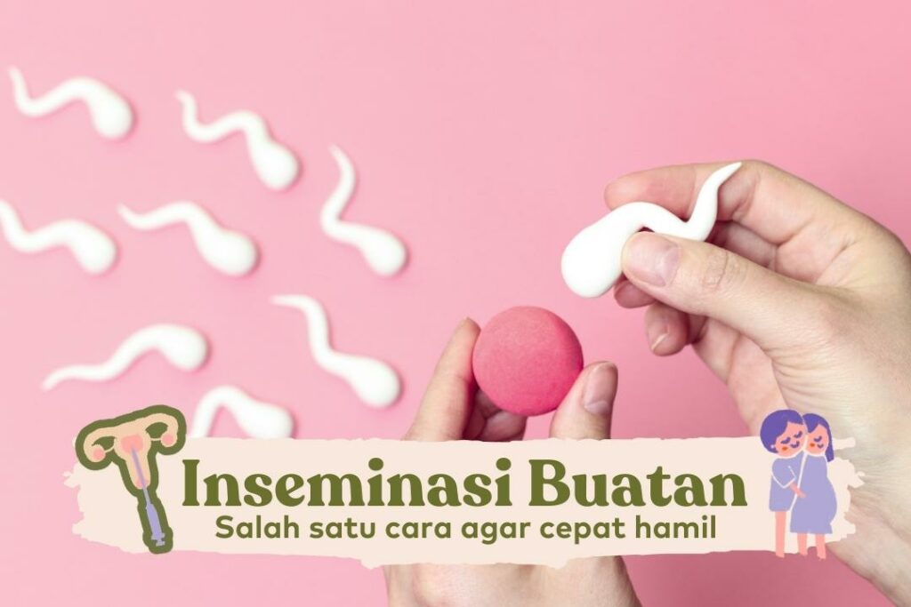 Proses Inseminasi Buatan : Penjelasan, Tahapan, Resiko