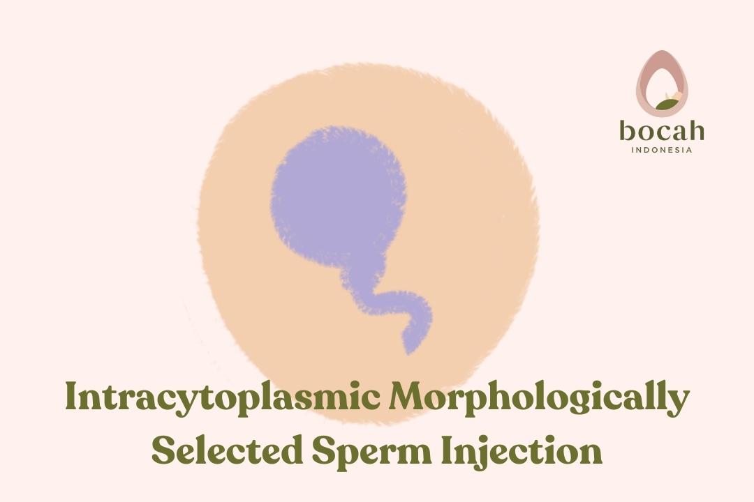 Intracytoplasmic morphologically selected sperm injection - IMSI