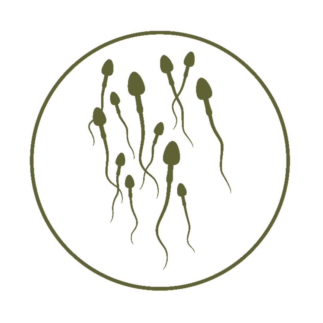 Asthenozoospermia - Saat Sperma Kurang Lincah Bergerak