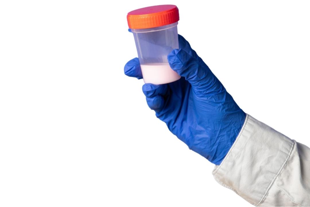 8 Cara Meningkatkan Kualitas Sperma yang Bisa Dicoba