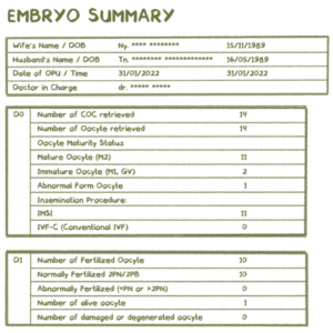 Program Bayi Tabung - IVF - Bocah Indonesia