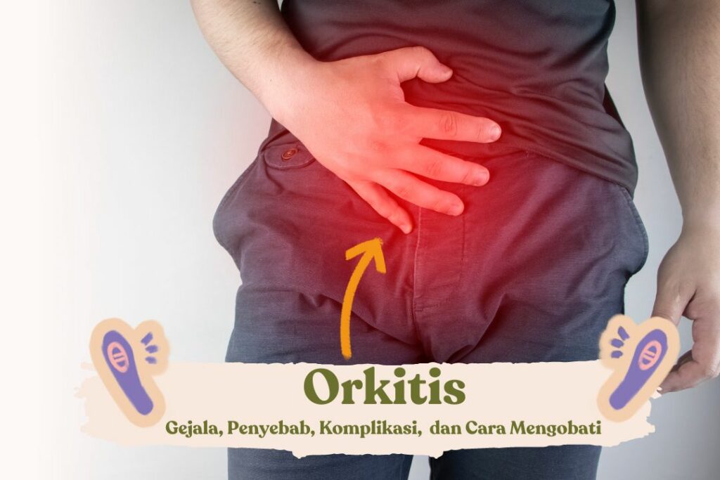 Orchitis – Gejala, Penyebab, Komplikasi, Cara Mengobati