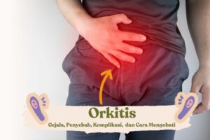 Orchitis – Gejala, Penyebab, Komplikasi, Cara Mengobati