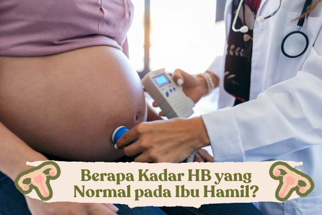 Berapa Kadar HB Normal Ibu Hamil ? dan Resiko HB Rendah