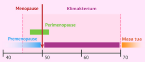 Menopause: Stages and Hormonal Changes