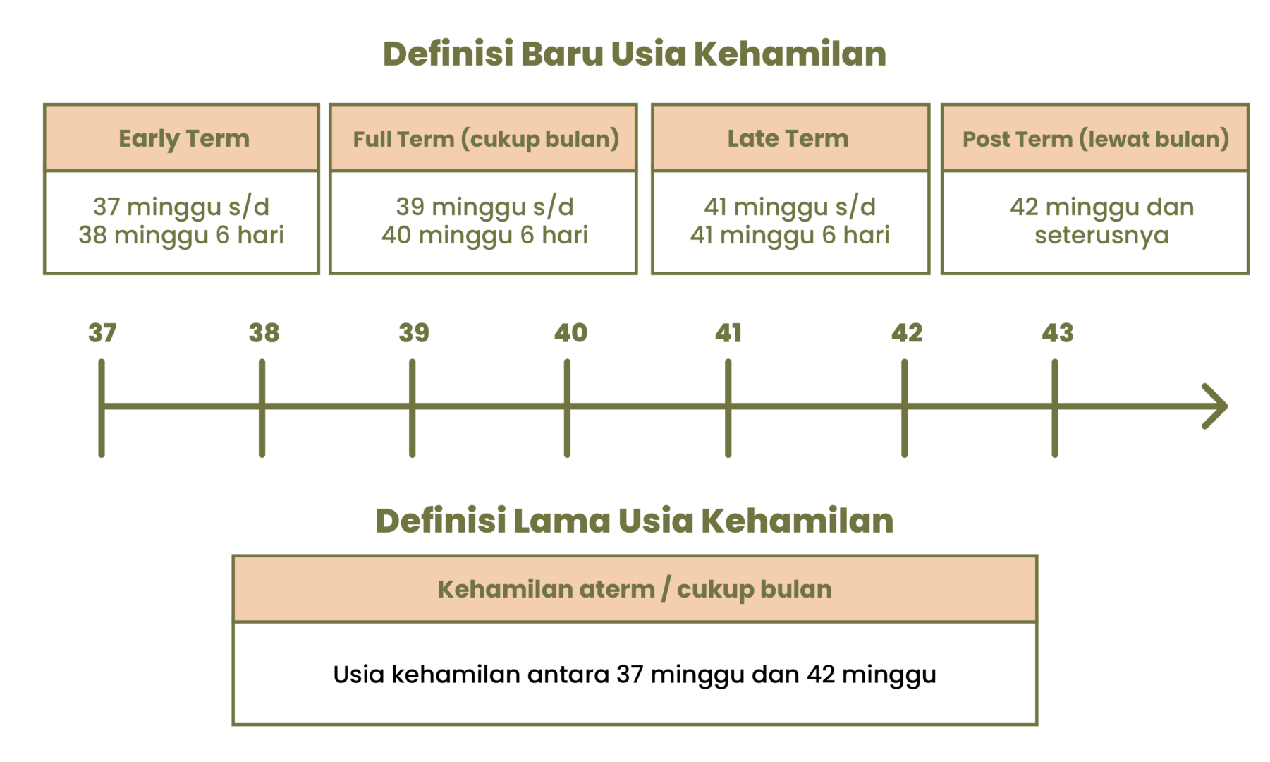 aterm-tahap-kehamilan-yang-sudah-memasuki-waktu-kelahiran