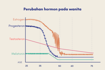 Menopause: Stages and Hormonal Changes