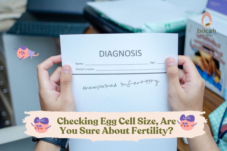 Checking Egg Cell Size, Are You Sure About Fertility?