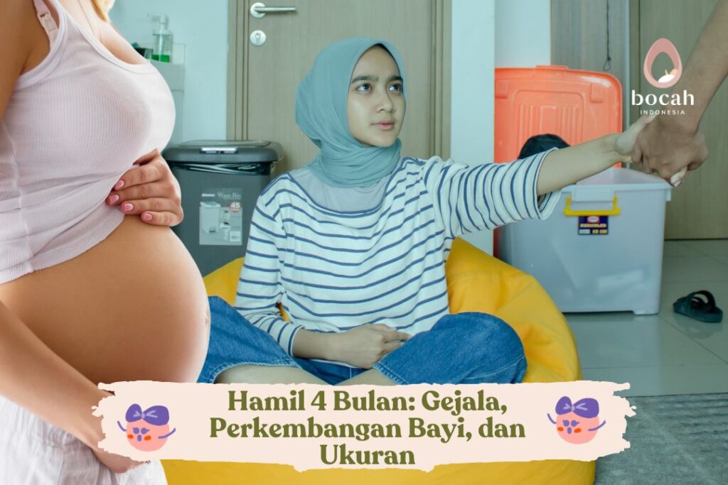 Kehamilan 3 Bulan Perkembangan Janin & Organ yang terbentuk