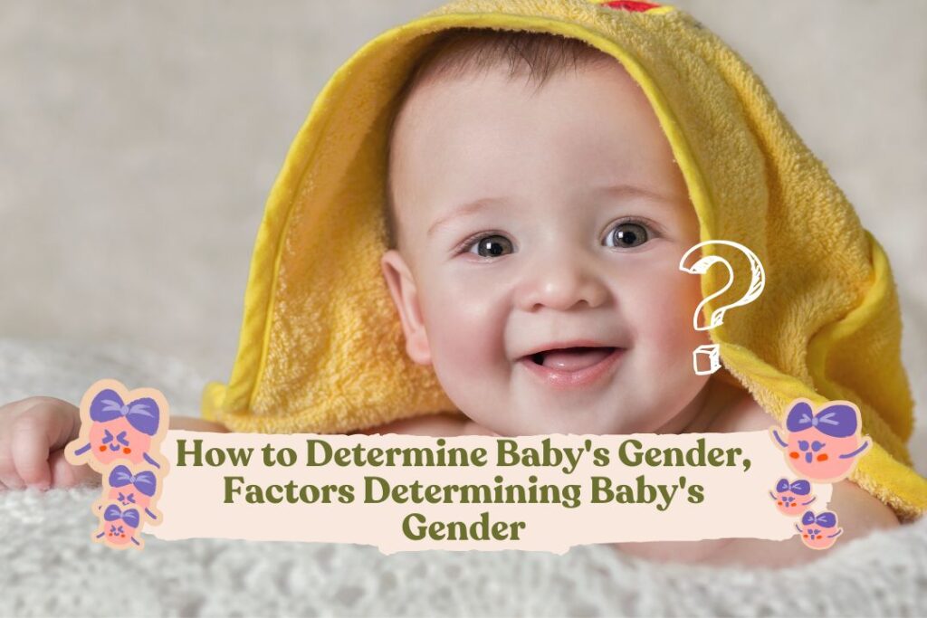 How to Determine Baby's Gender, Factors Determining Baby's Gender