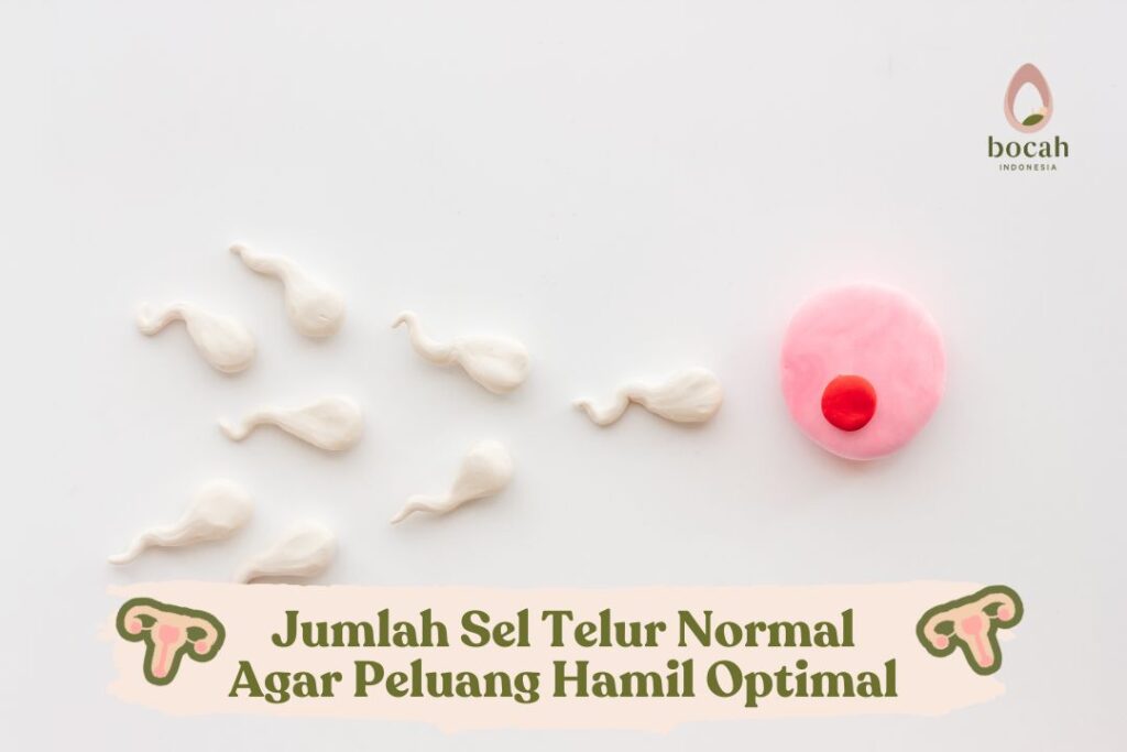 Jumlah Sel Telur Normal Agar Peluang Hamil Optimal
