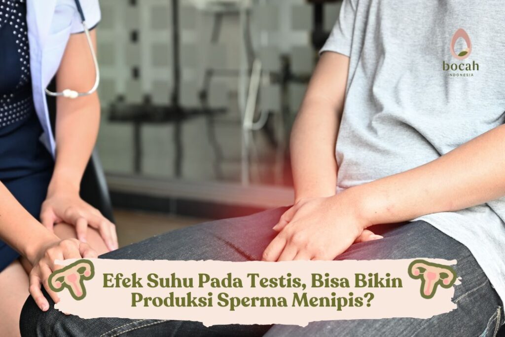 Efek Suhu Pada Testis Produksi Sperma Menipis