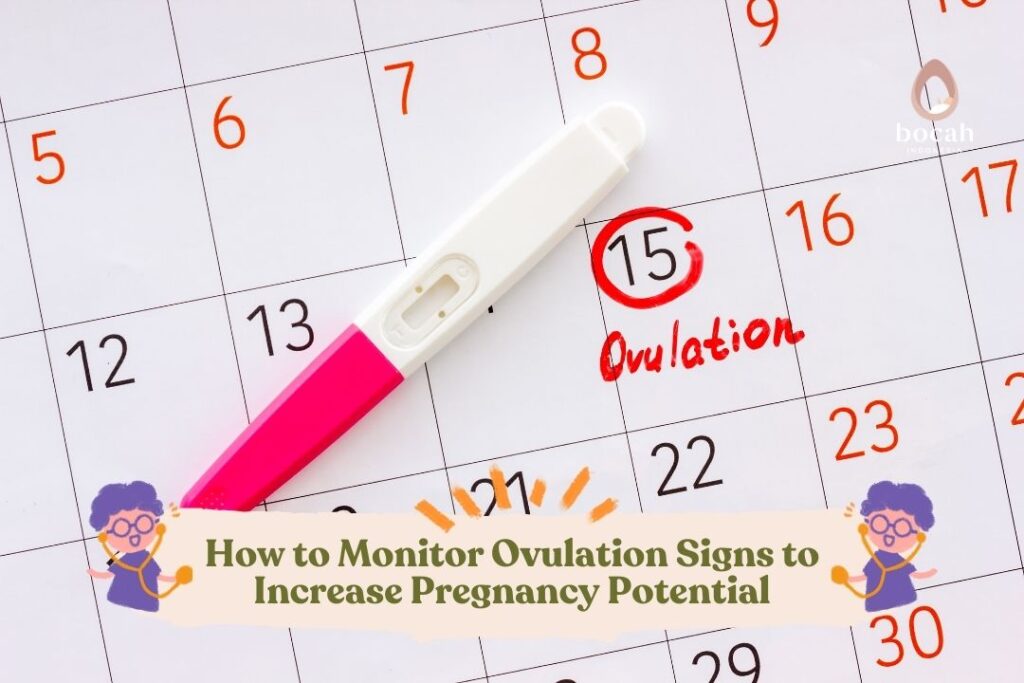 How to Monitor Ovulation Signs to Promote Pregnancy