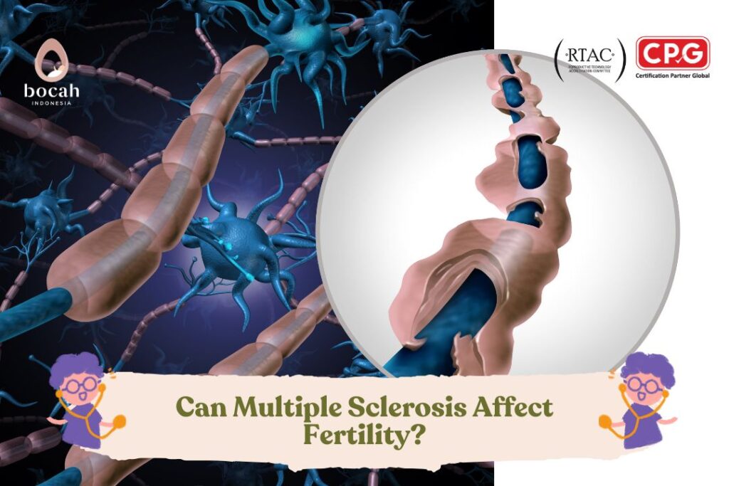 Can Multiple Sclerosis Affect Fertility?