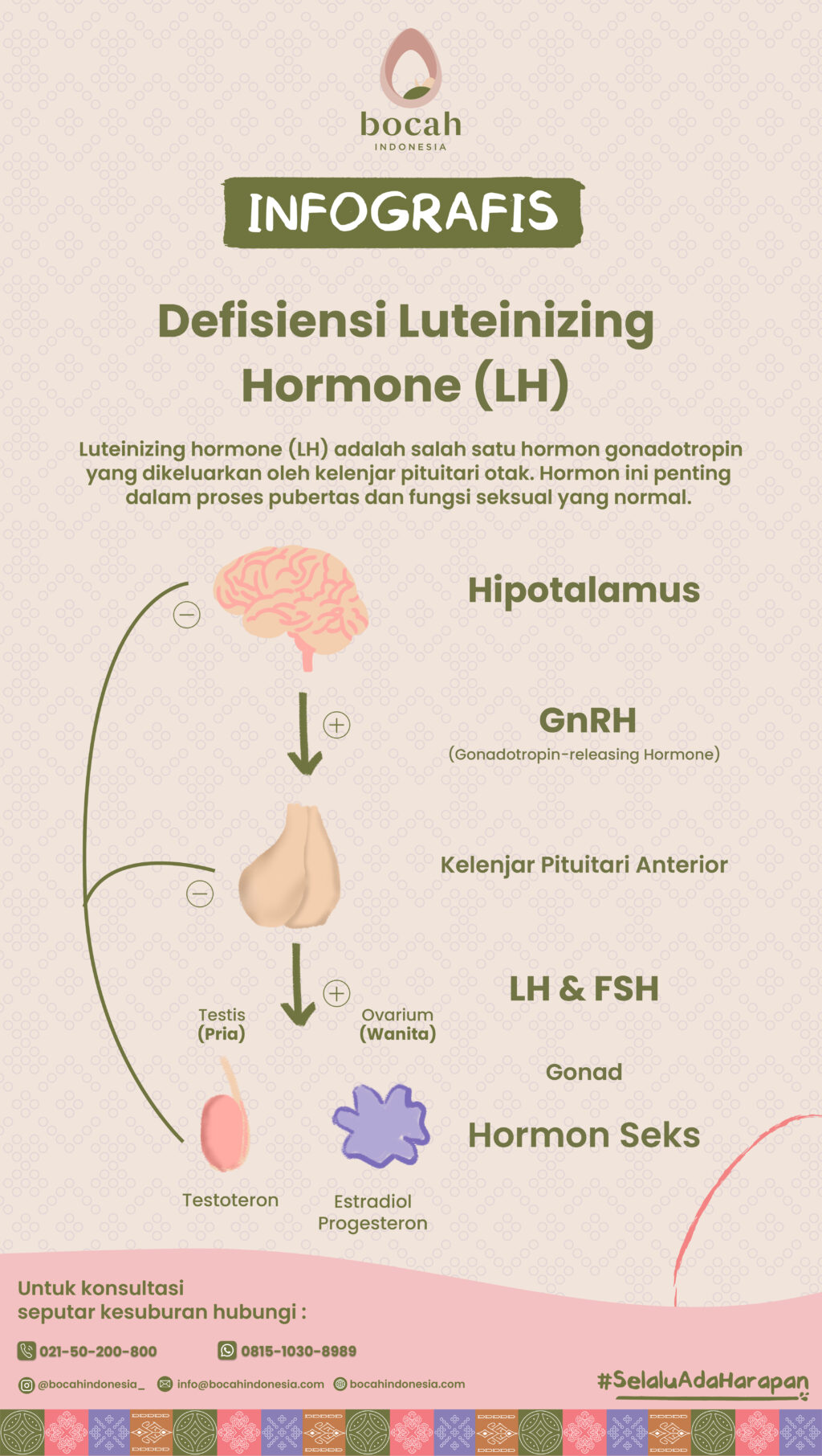 Luteinizing Hormone (LH) Rendah - Penyebab dan Mengobatinya