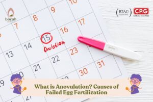What is Anovulation? Causes of Failed Egg Fertilization